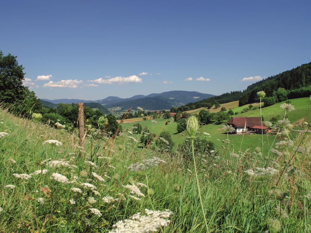 Urlaub im 4 Sterne Hotel Badischer Hof im Schwarzwald - Hotel Badischer Hof